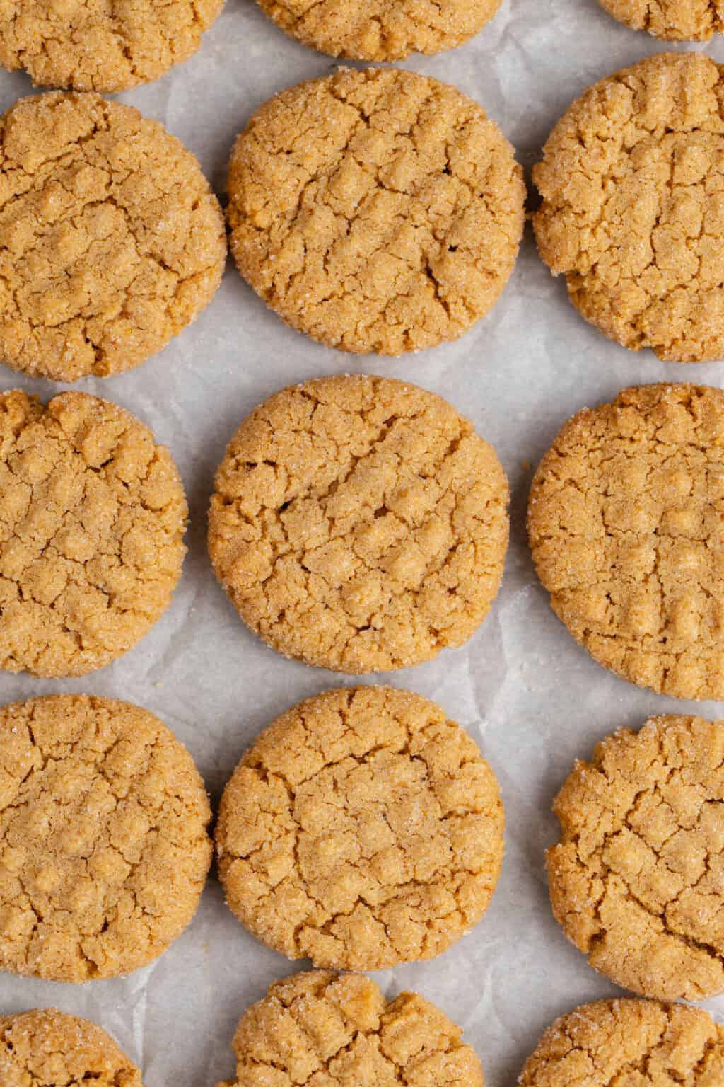 4 Ingredient Peanut Butter Cookies - My Rad Kitchen