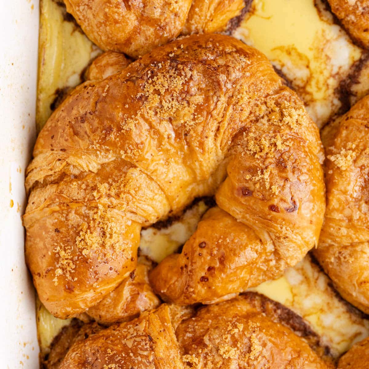 Snake Bite Shot - My Rad Kitchen