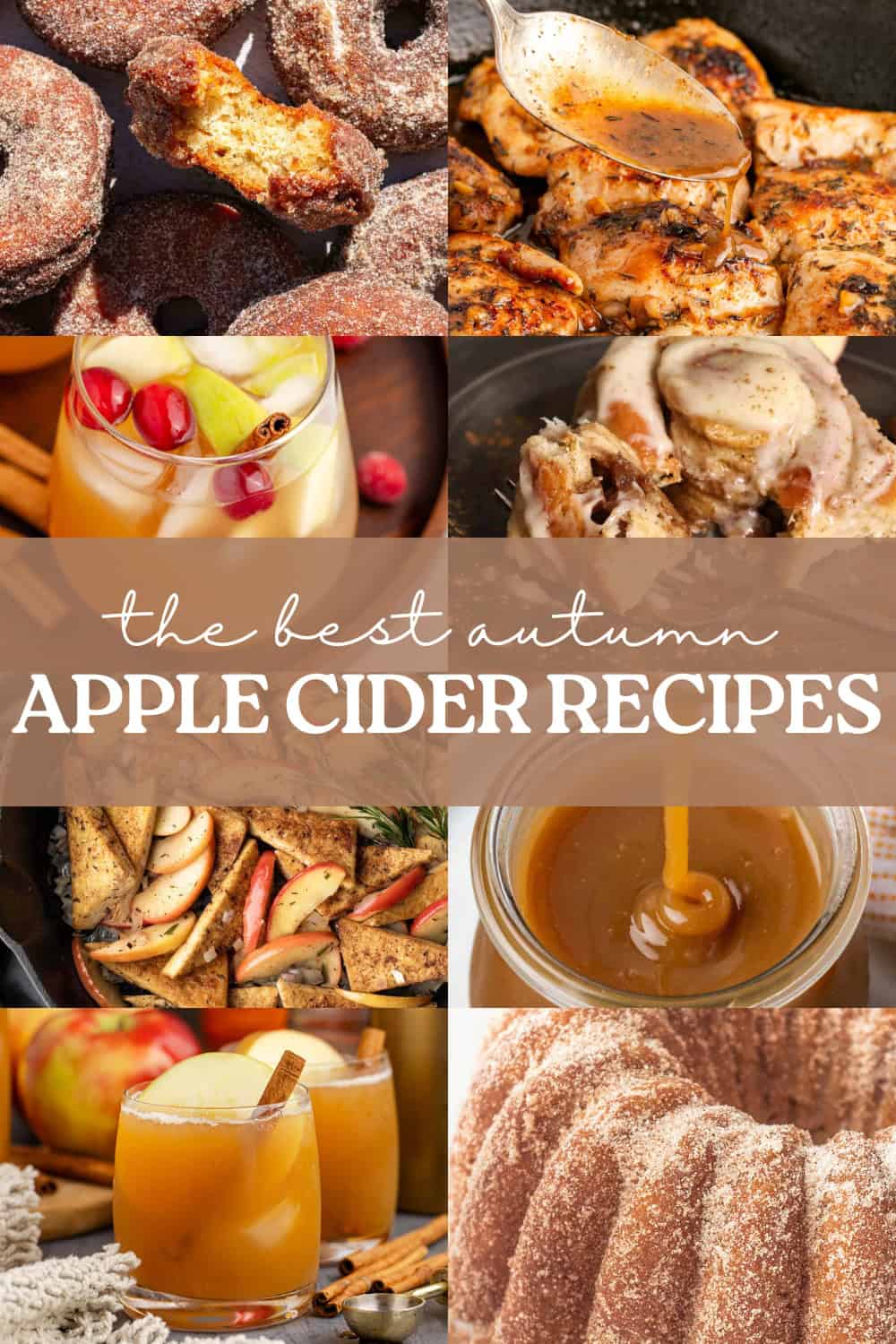 Apple Cider Recipes - My Rad Kitchen